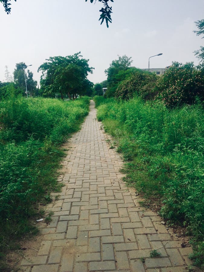 Bricks footpath long way stock photo. Image of daytime - 222139780