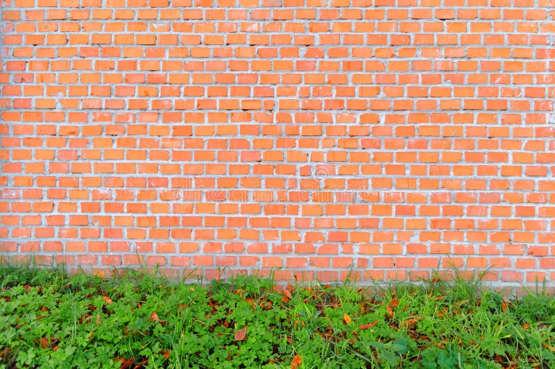 Bricks and grass texture stock photo. Image of leafs - 61149172