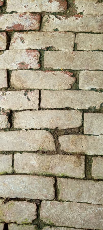 Bricks Has Been Fitted in the Mud Stock Image - Image of fitted, bricks ...