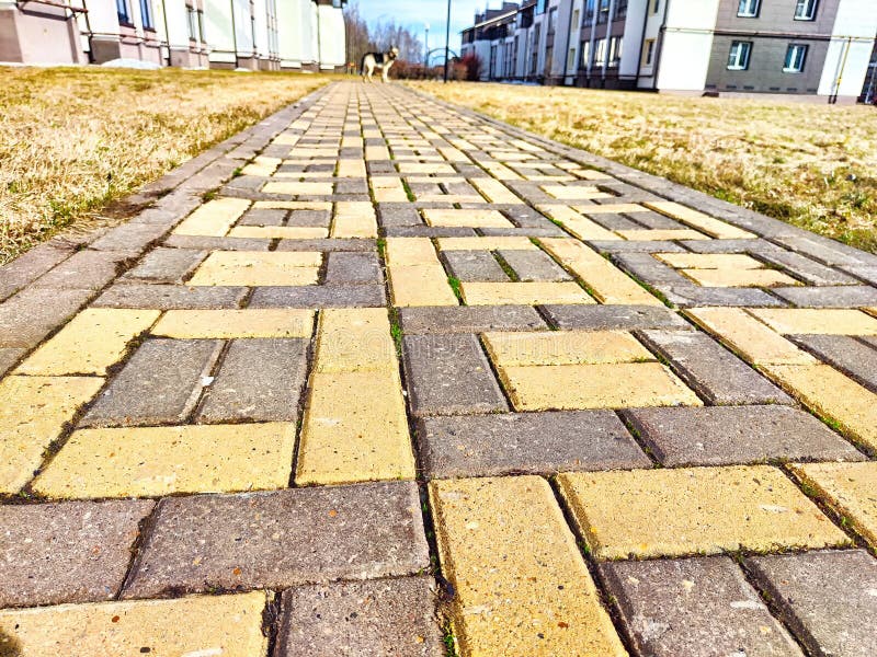 5,292 Bricks Path Background Stock Photos - Free & Royalty-Free Stock ...