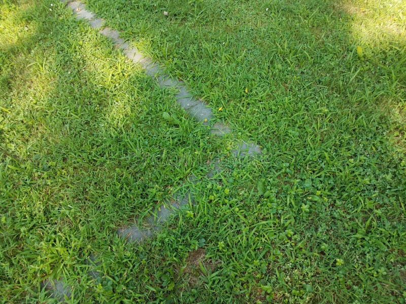 Bricks or Stone in the Ground with Green Grass Stock Photo - Image of ...