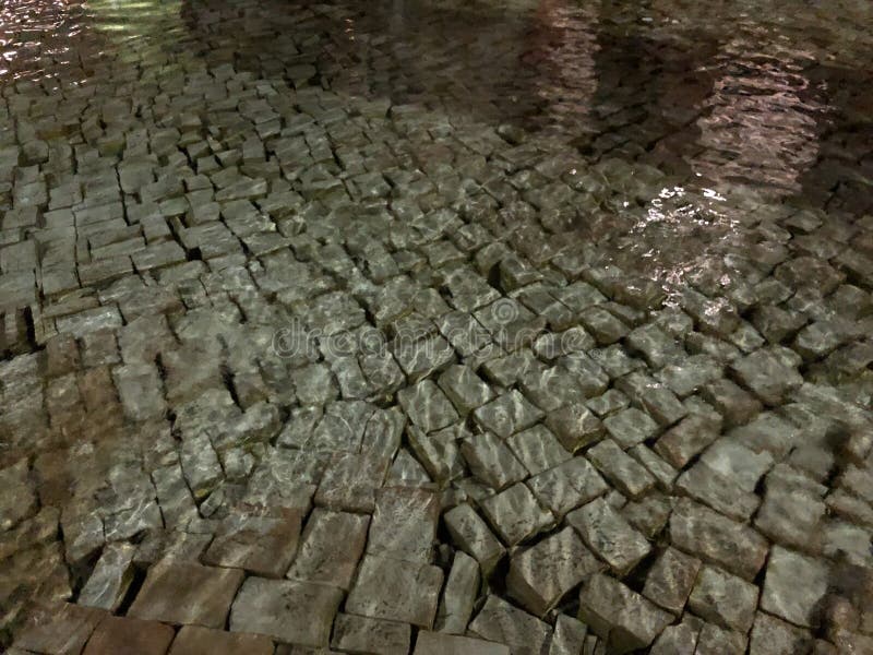 Bricks Under Water stock photo. Image of terrain, floor - 227443456