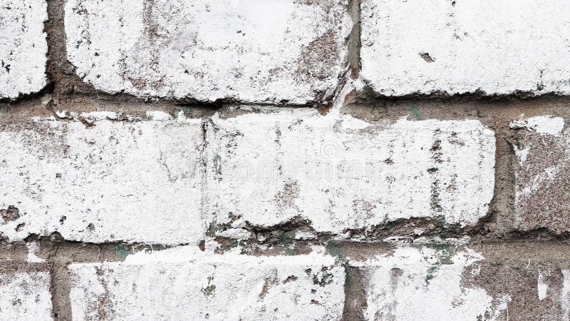 Bricks Wall Texture Seamless Loop. Urban Street Wall Stock Footage ...