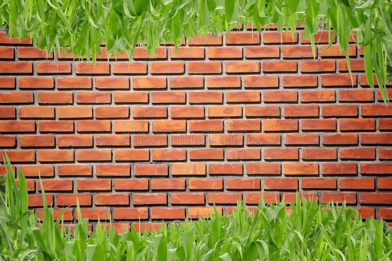 Brickwall Picture. Image: 14322957