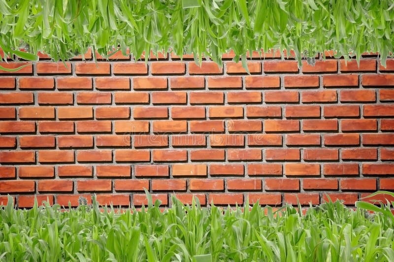 Brickwall and green grass stock image. Image of freshness - 16111245