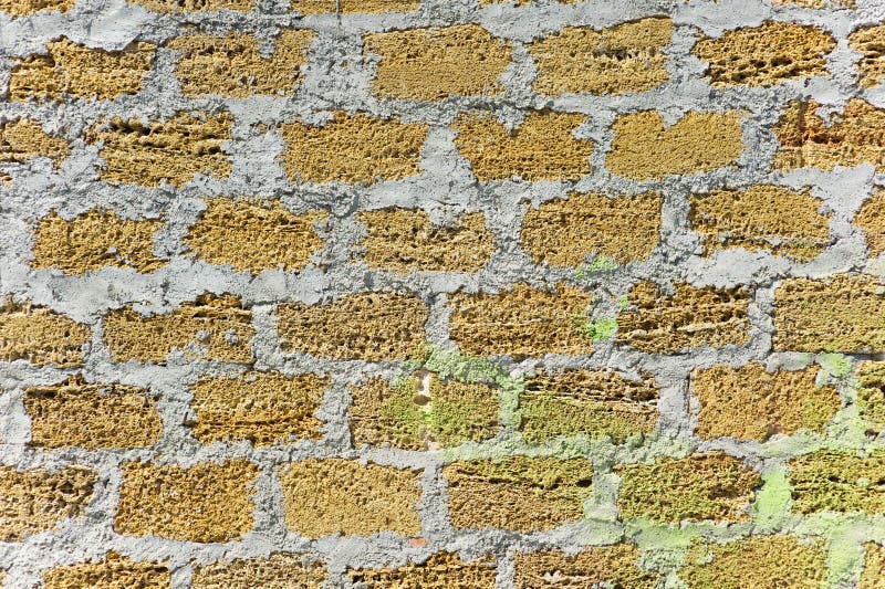 Masonry Bricks Made of Shell Rock Stock Image - Image of grunge ...