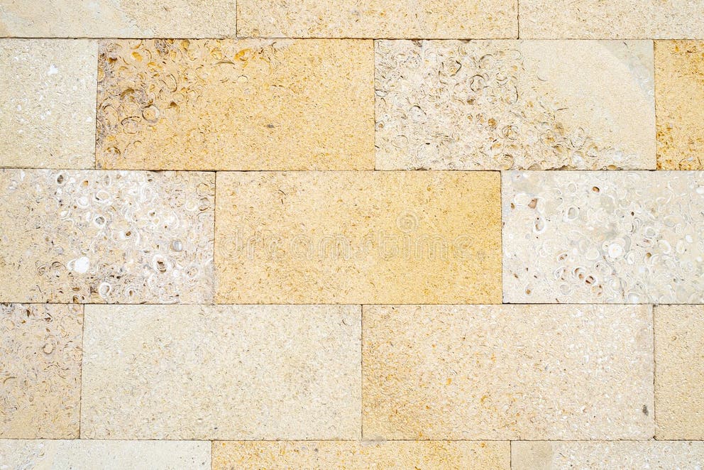 Brickwork of a Shell Rock. Stone Porous Texture with Splashes of Shell ...