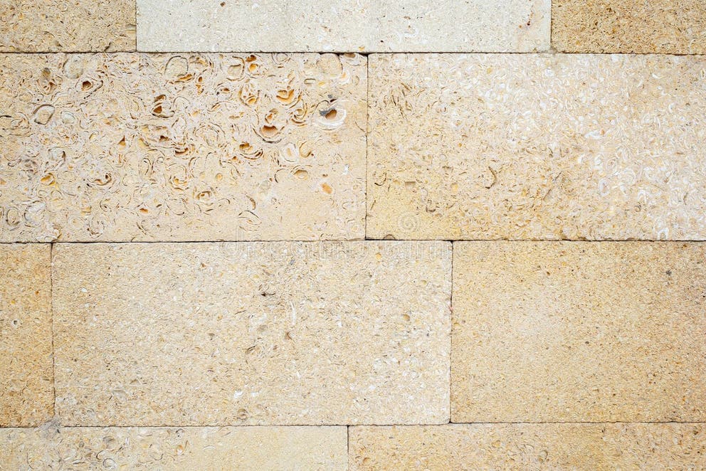 Brickwork of a Shell Rock. Stone Porous Texture with Splashes of Shell ...