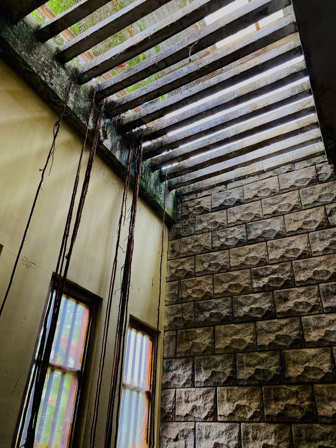 The Bricky Wall with Plants Stock Photo - Image of hanging, light: 286532718