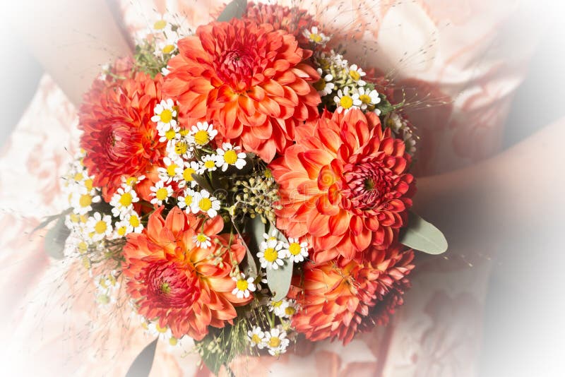 Bridal bouquet with dalias stock image. Image of leaves - 66004993
