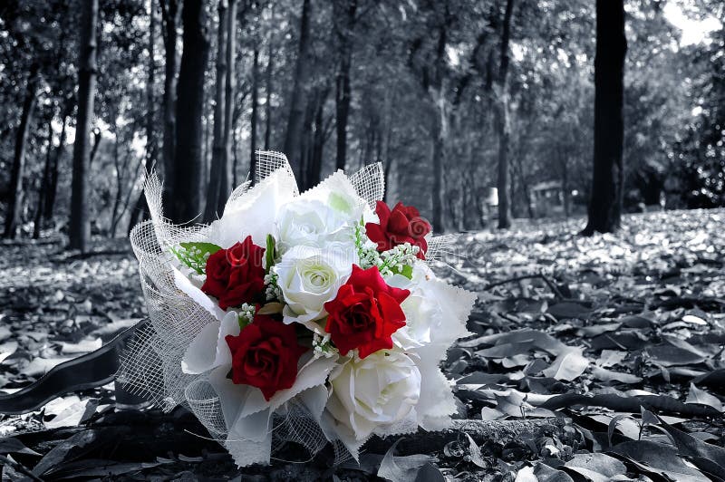 Bridal Bouquet Red and White Roses Stock Photo - Image of composition ...