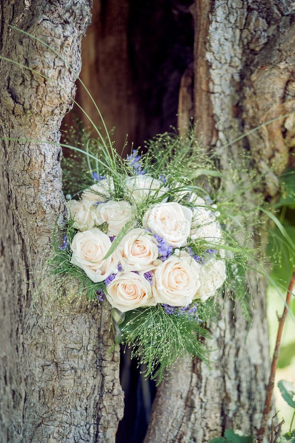 Bridal Bouquet in a Tree stock photo. Image of bloom - 29456738