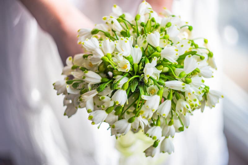 Bridal Bunch with Snowdrops Stock Photo - Image of seasonal, bouquet ...