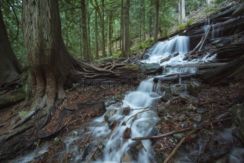 Manning Falls - Kimberley - Australia Stock Photo - Image of stream ...