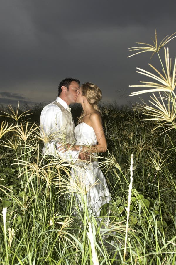 Bridal Couple stock photo. Image of woman, couple, bride - 13725806