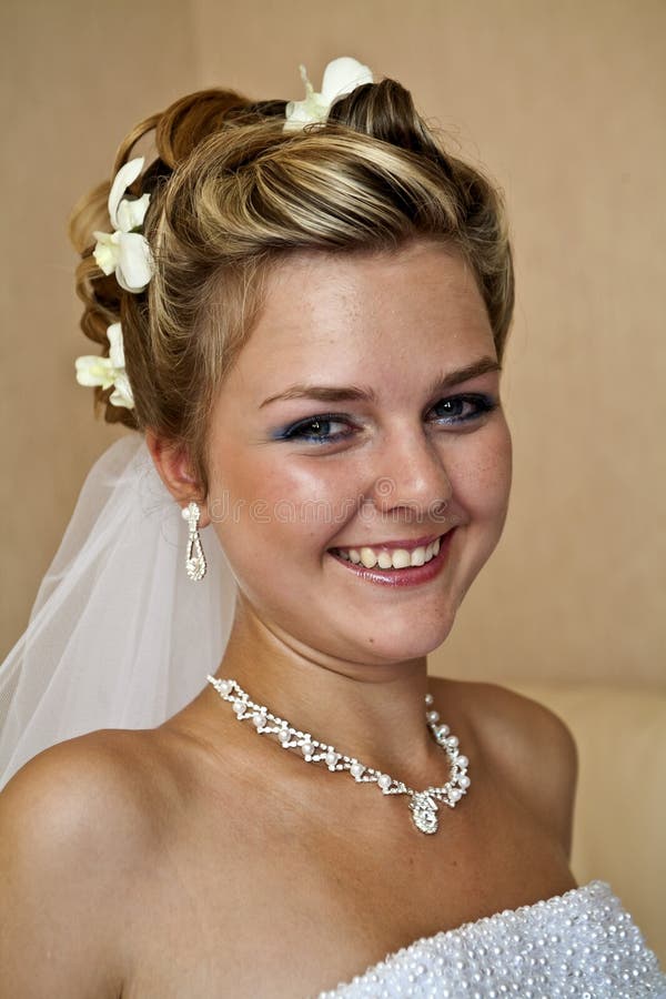 Bridal portrait stock photo. Image of beautiful, desire - 16052590