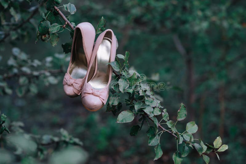 Bridal Shoes Hanging on Tree Branch Stock Photo - Image of bridesmaid ...