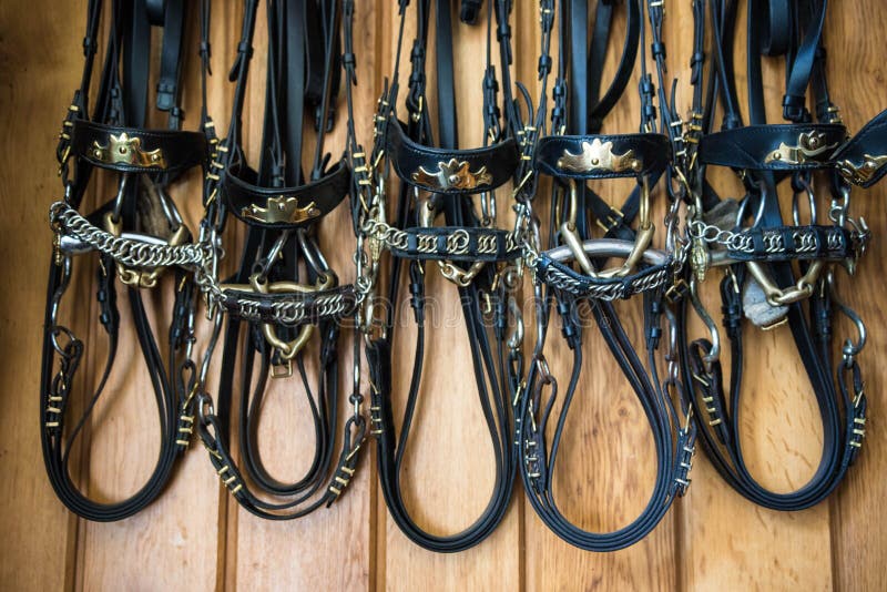 Briddles in Spanish Horse Riding School Stock Image - Image of ...