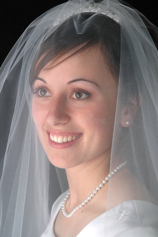 Bride Stress stock image. Image of caress, glancing, face - 1273721