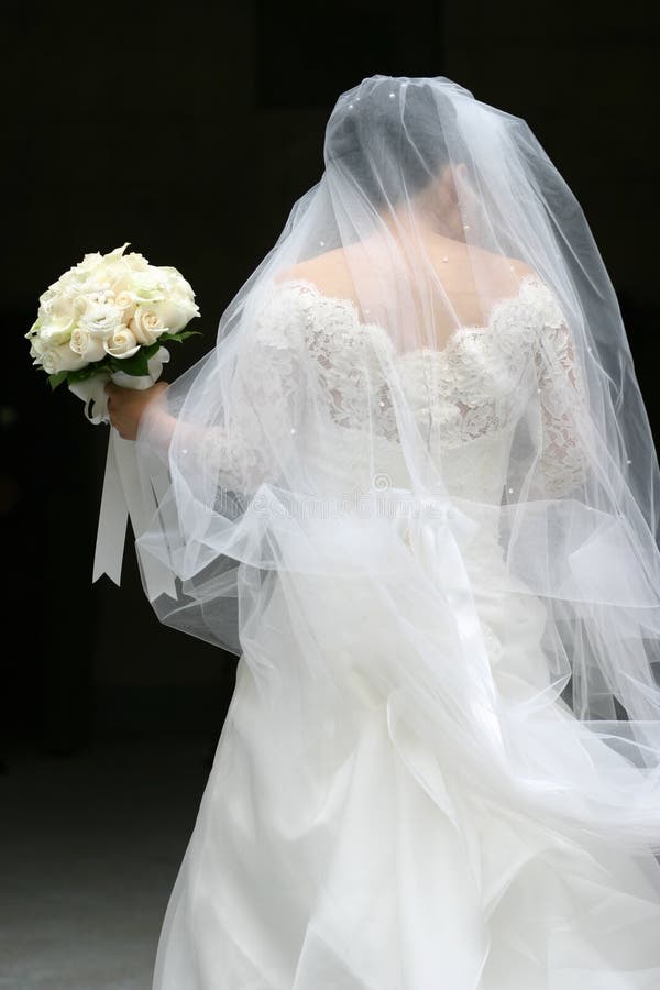 Bride Picture. Image: 1391347