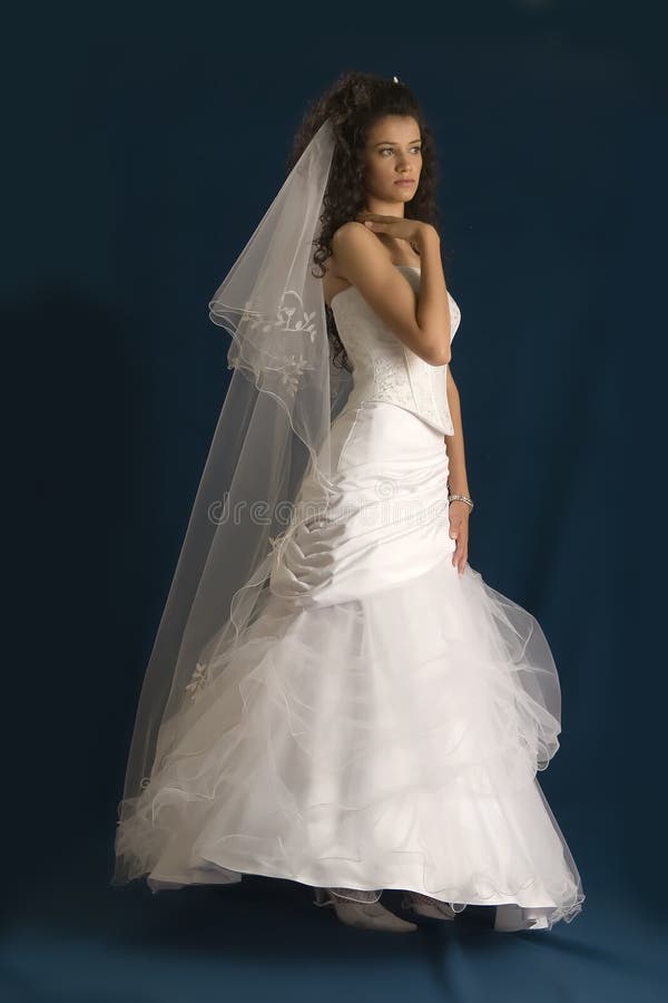 Bride stock image. Image of grin, celebrate, lifestyle - 2013983