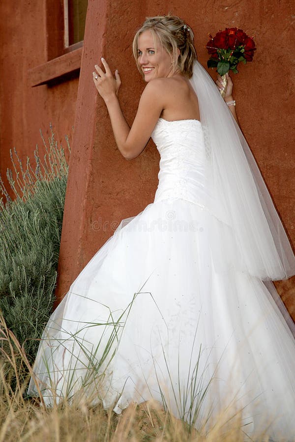 Bride Back stock image. Image of attire, material, married - 2624079