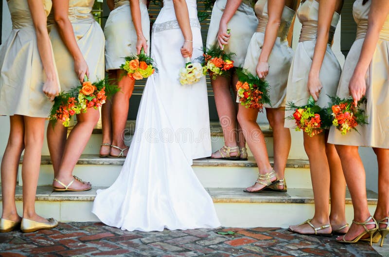 Bride and Bridesmaids stock photo. Image of country, arms - 21271418
