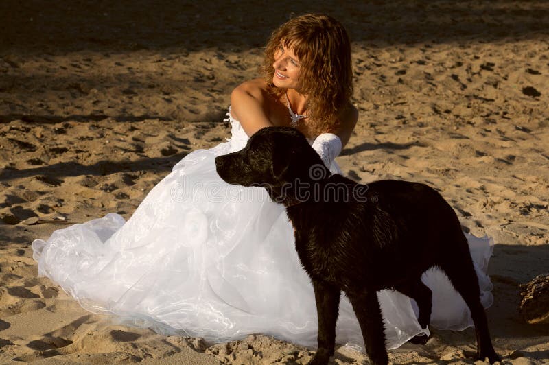 Bride and dog stock photo. Image of person, wedding, beauty - 4171470