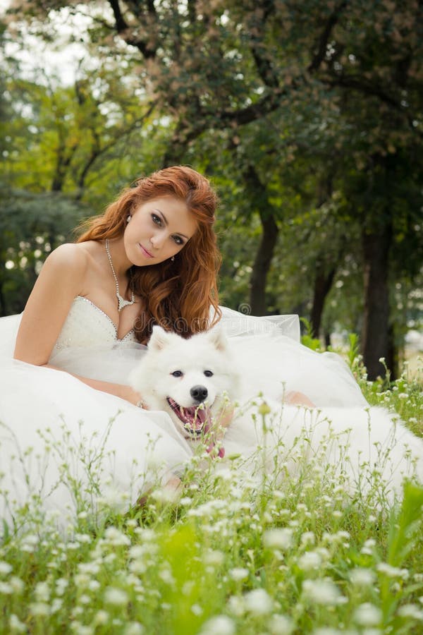 Bride with dog. stock image. Image of nature, young, grass - 38871029