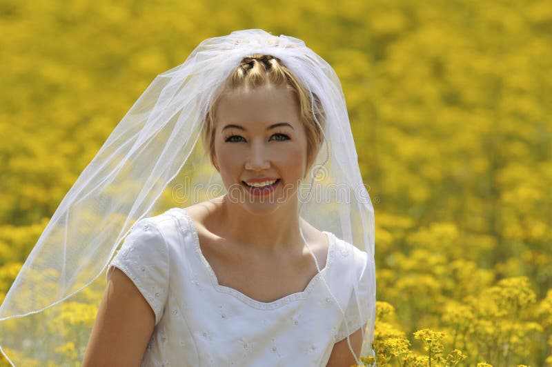 Bride in a flowers field stock photo. Image of white - 11751962
