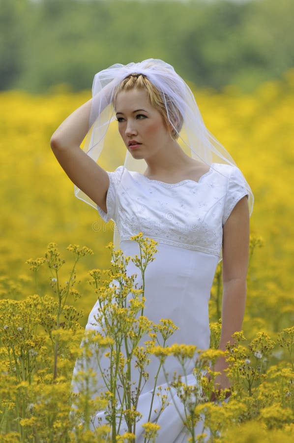 Bride in a flowers field stock photo. Image of yellow - 11751982