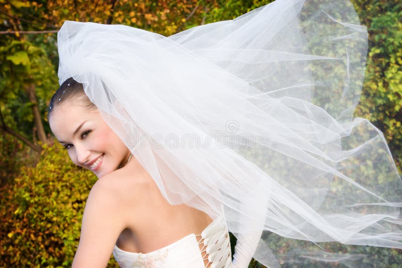 Bride with fly veil stock photo. Image of pretty, brunette - 4765414