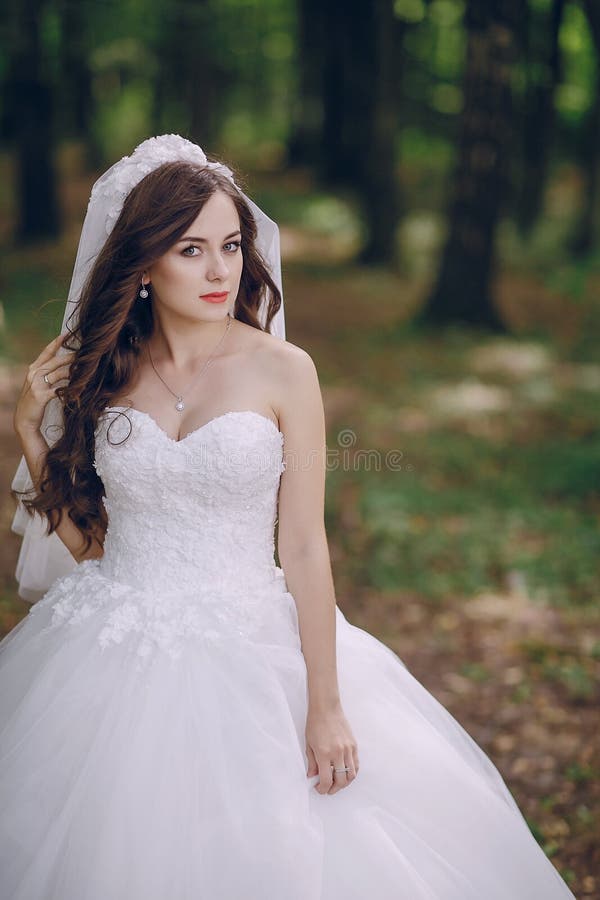 Bride in the forest stock image. Image of celebration - 92633529