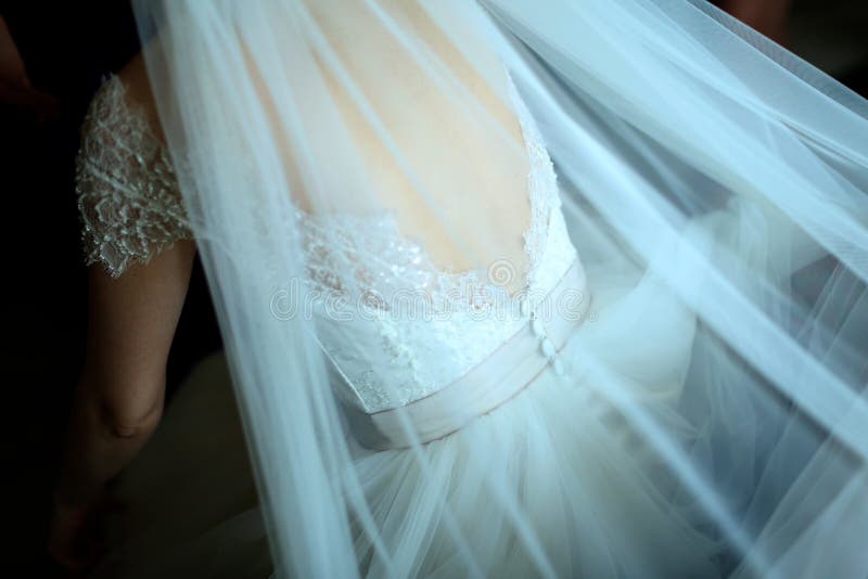 Bride getting dressed stock photo. Image of veil, dresses - 73587874