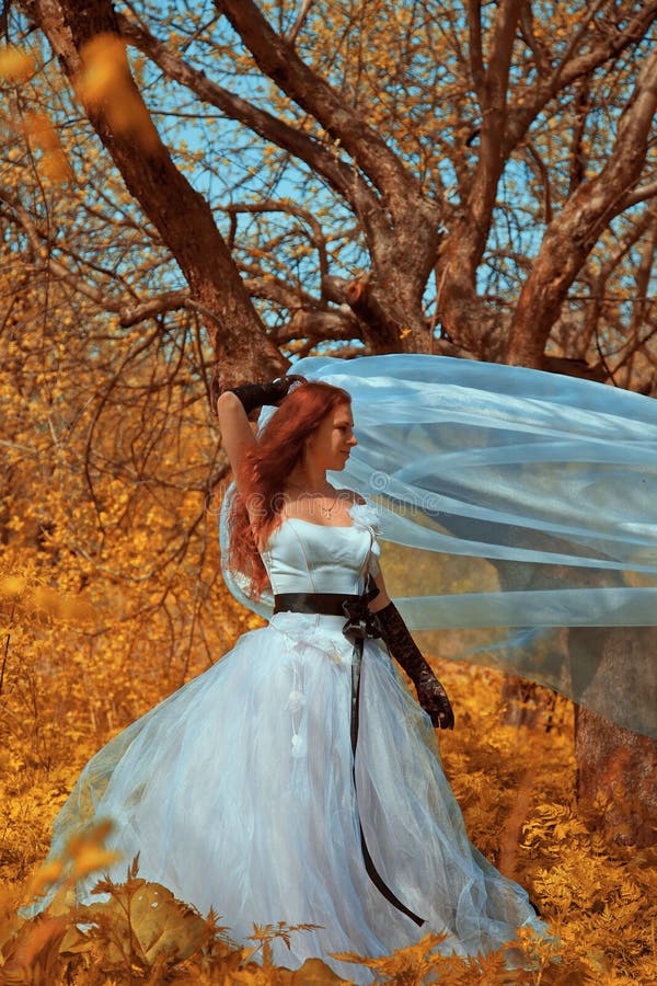 Bride girl stock photo. Image of black, elegance, gown - 20316282