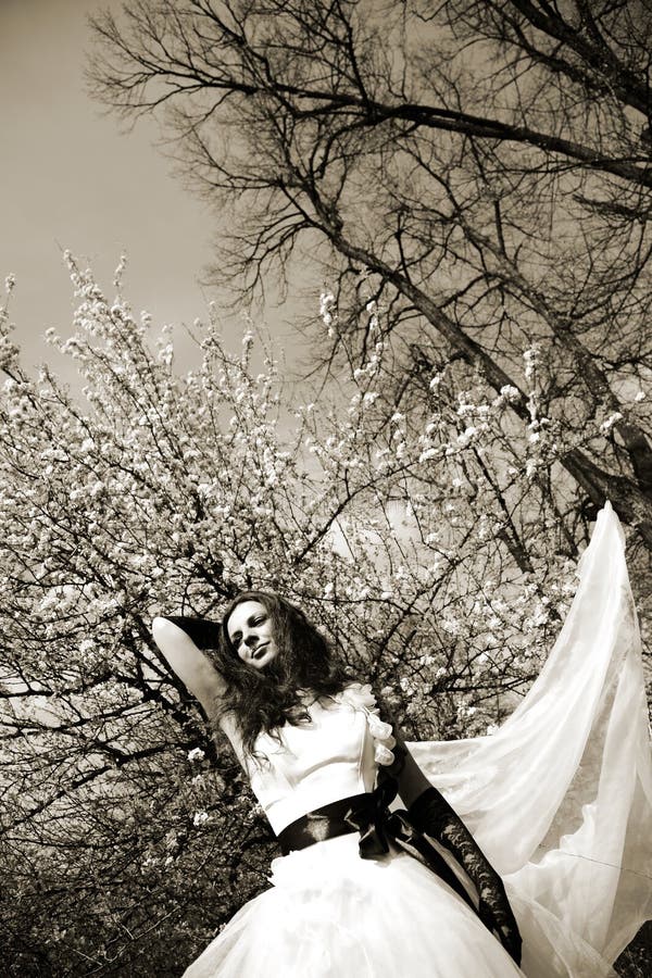 Bride girl stock photo. Image of beautiful, bride, glamour - 20316532