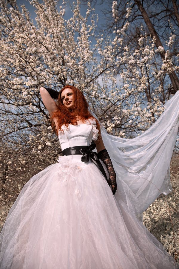 Bride girl stock photo. Image of dress, girl, beauty - 21220408