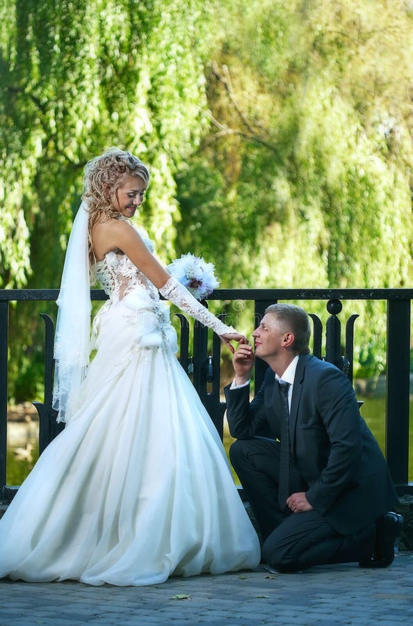 Bride and groom stock photo. Image of groom, look, couple - 21232152