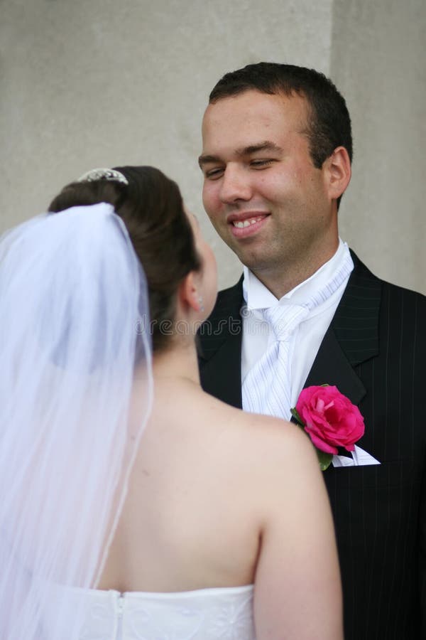 Bride and Groom stock image. Image of looking, boutonniere - 29034897