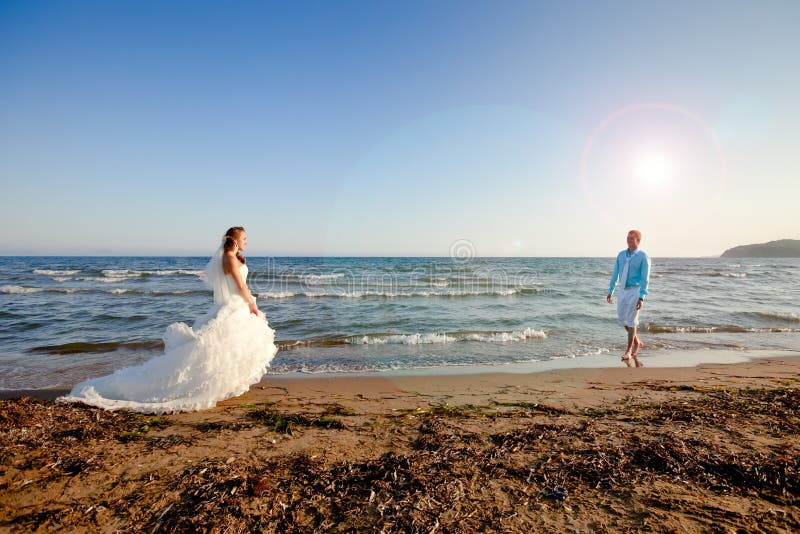 Bride at the Beach Backshot Stock Photo - Image of adult, summer: 24625090