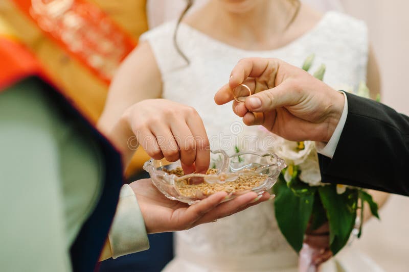 Bride and Groom are Changing Rings Stock Photo - Image of celebrations ...