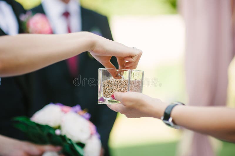 Bride and Groom are Changing Rings Stock Photo - Image of wedding ...