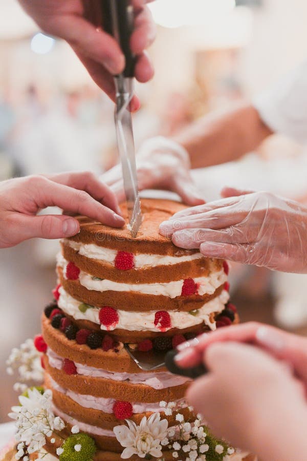 Bride and Groom Cut Wedding Cake Stock Photo - Image of buds, event ...