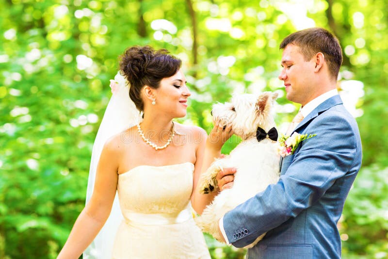 Bride and Groom with Dog West Highland White Stock Photo - Image of ...