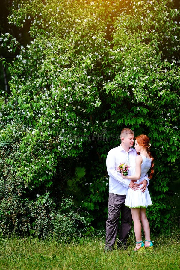 Bride and Groom Hold Each Other Hands while they Walk Along the Stock ... Bride and Groom Hold Each Other Hands while they Walk Along the Stock ...