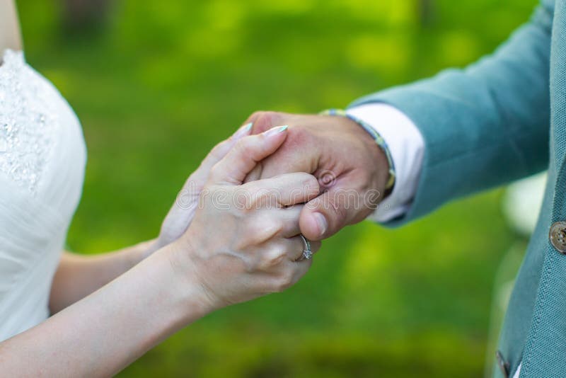The Bride and Groom Hold Each Other& X27;s Hands Stock Photo - Image of ... The Bride and Groom Hold Each Other& X27;s Hands Stock Photo - Image of ...