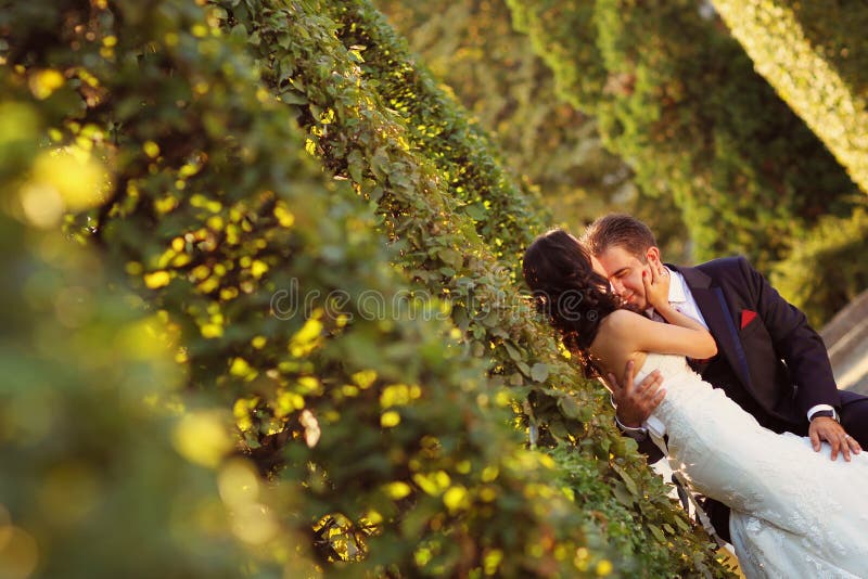 Bride and Groom Holding Each Other Stock Photo - Image of beauty, farm ...