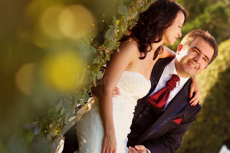 Bride and Groom Holding Each Other Stock Image - Image of landscape ...