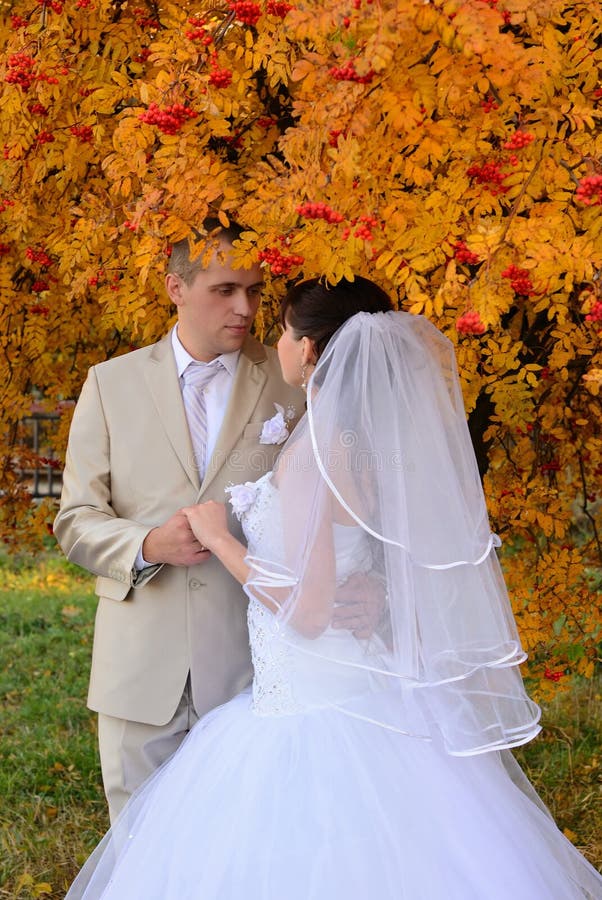The Bride Groom Holding Hands Under the Autumn Rowan Stock Image ...