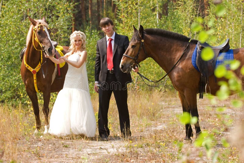 Wedding Bride and Groom on Horseback Stock Image - Image of female ...
